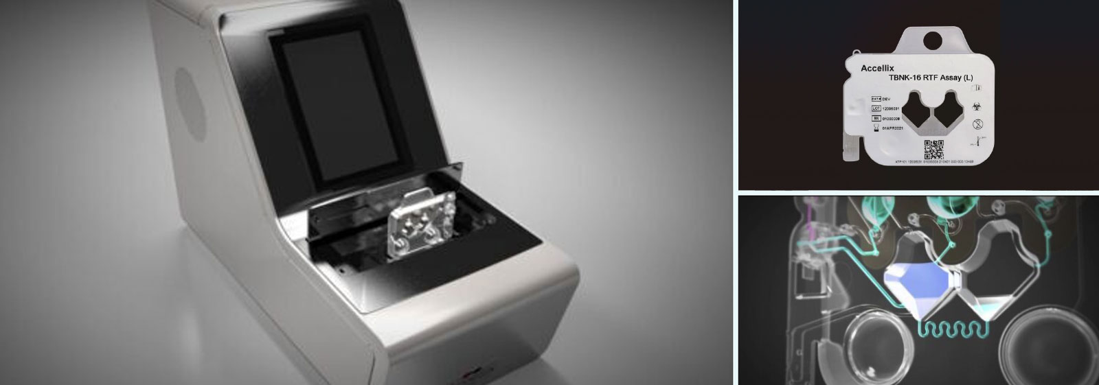 Streamline Your Cell Therapy Method Validation